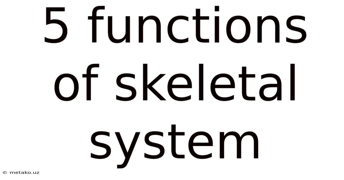 5 Functions Of Skeletal System